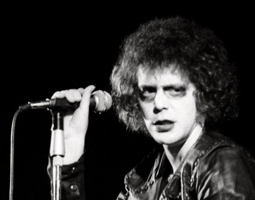 LOU REED - TRANSFORMED! - Madeline Bocaro