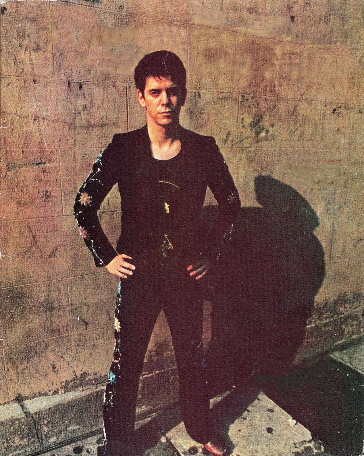 LOU REED - TRANSFORMED! - Madeline Bocaro