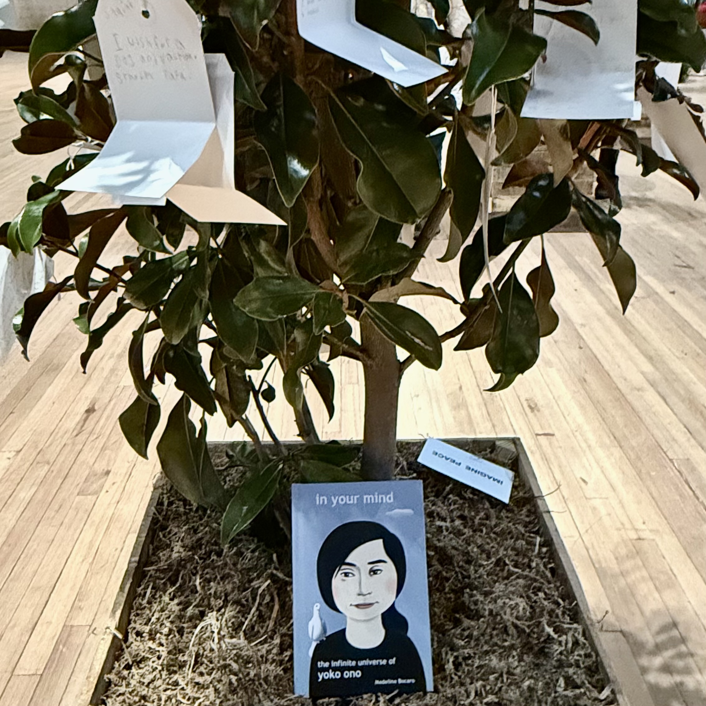 Yoko’s Wish Tree – NYC 2025 - Madeline Bocaro